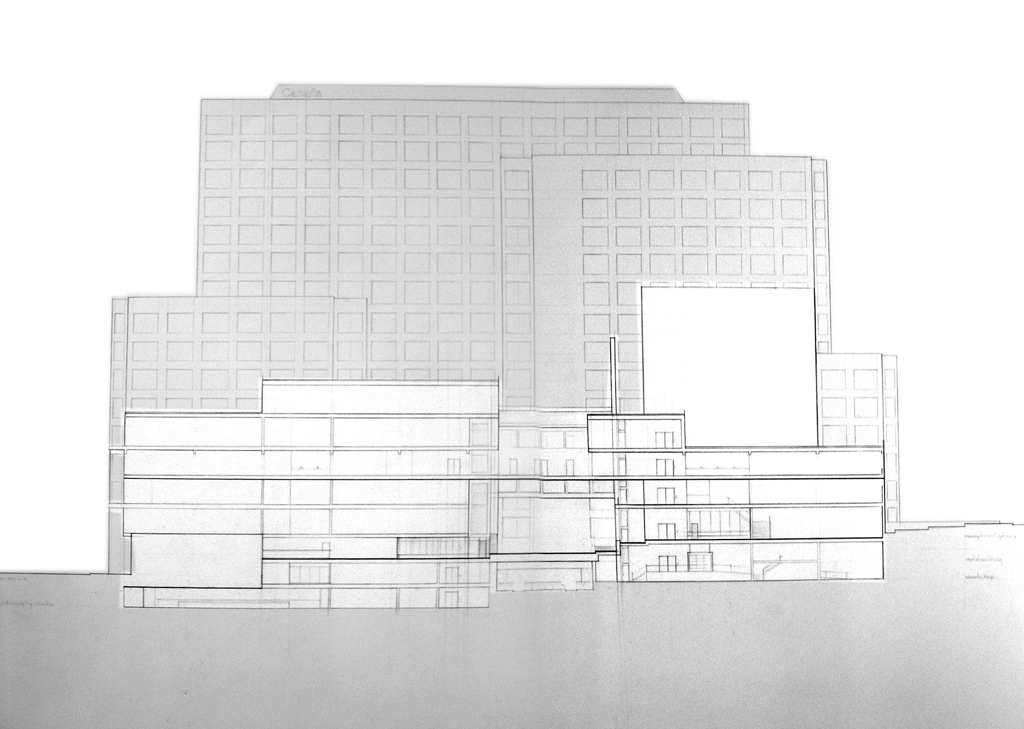 Sarah Gelbard_Longitudinal Section Drawing – arkHIVE